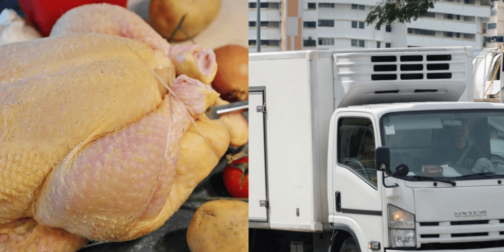 Poultry Transport Kuala Lumpur & Selangor | Hassle Free